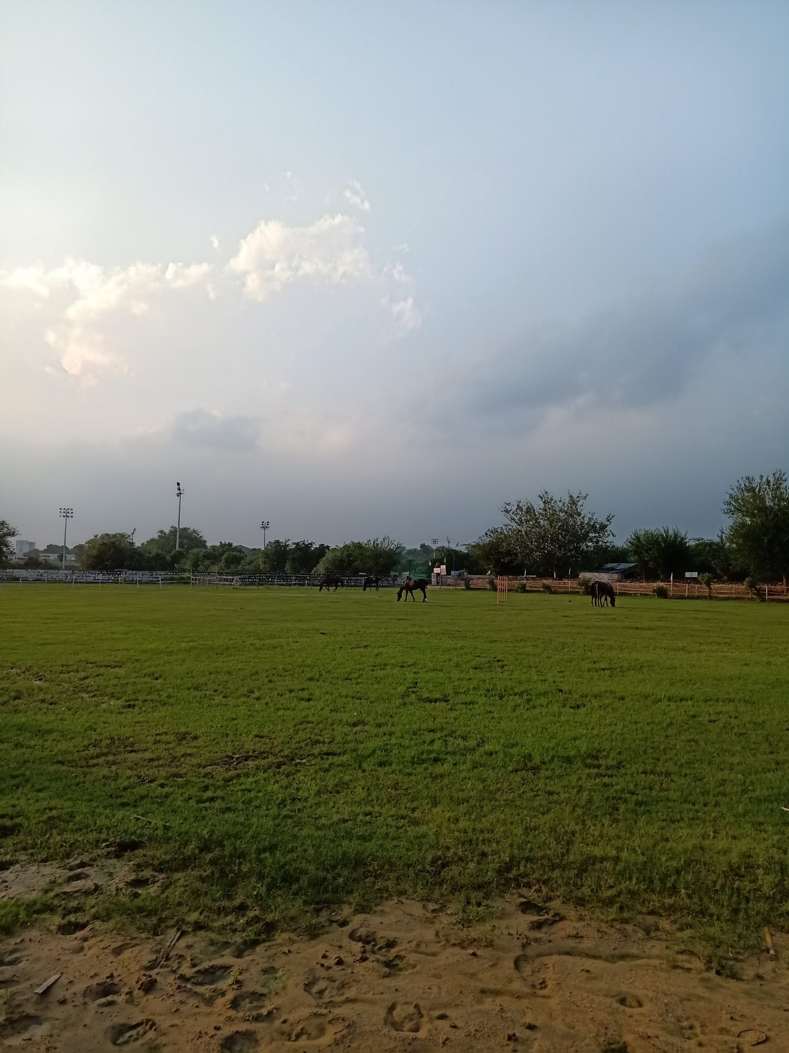 Duke Riding Club Gurgaon - Professional and well trained staff ...